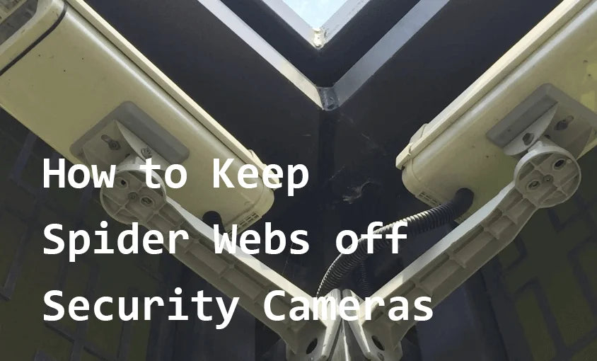 How to Keep Spider Webs off Security Cameras? – Techage.com